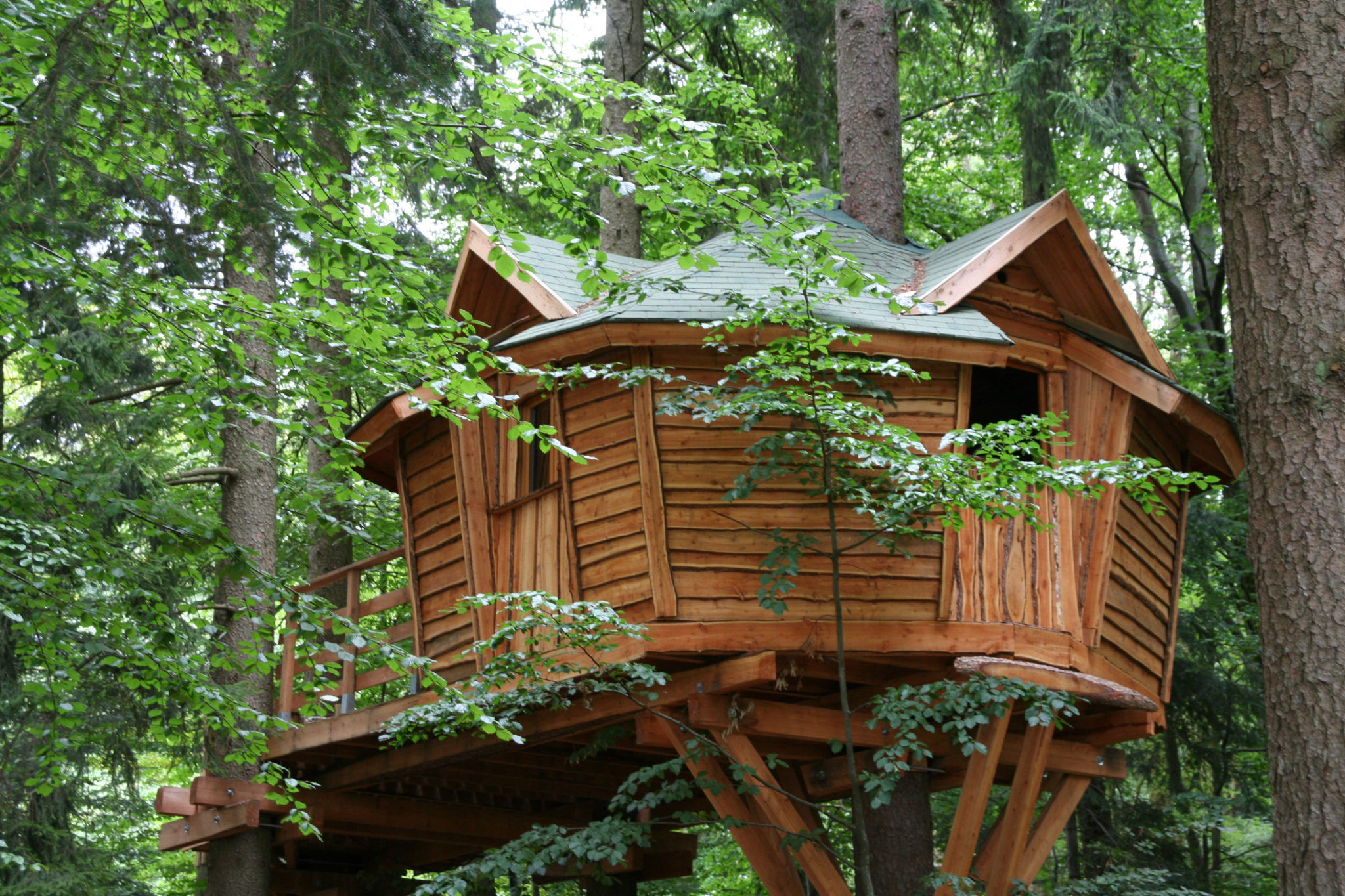 Außergewöhnliche Übernachtungen Baumhaus, Flugzeug Hotel und mehr..